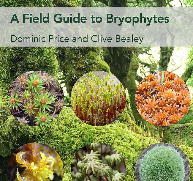 Field Guide to Bryophytes | NatureSpot