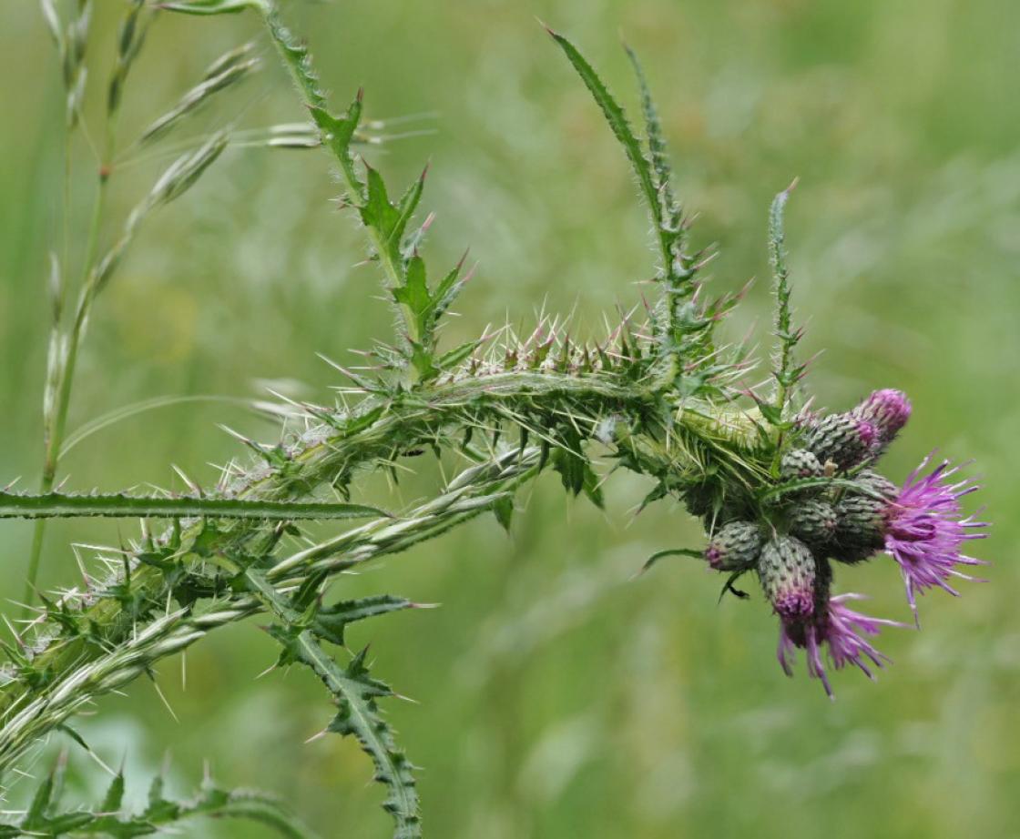 301 Moved Permanently